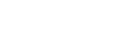SYNEXUS GmbH – Intelligent Technologies