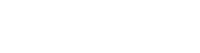 SYNEXUS GmbH – Intelligent Technologies