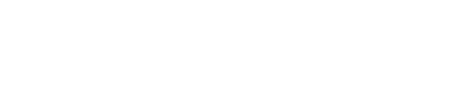 SYNEXUS GmbH – Intelligent Technologies