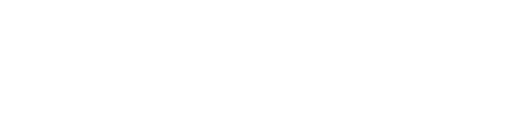 SYNEXUS GmbH – Intelligent Technologies